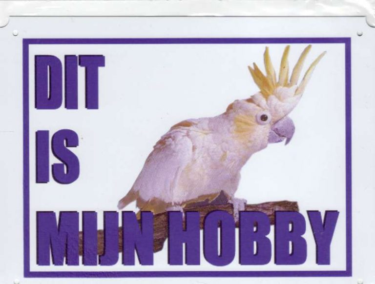 Dit is mijn hobby bord met Kaketoe geelkuif – De Beste Stek