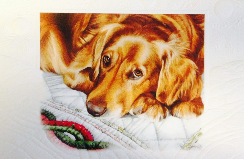 kaart cozy dog – De Beste Stek