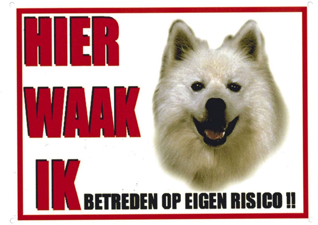 keeshond_wit_wb – De Beste Stek